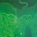 Paint dermatitis - Altmeyers Encyclopedia - Department Allergology