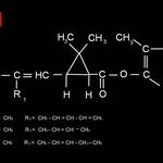 Pyrethrins - Altmeyers Encyclopedia - Department Phytotherapy