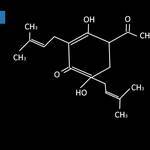 Humulon - Altmeyers Encyclopedia - Department Phytotherapy