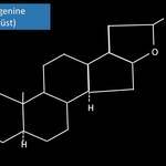 Saponine - Altmeyers Enzyklopädie - Fachbereich Naturheilkunde