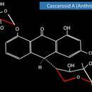 Althaeae radix - Altmeyers Encyclopedia - Department Phytotherapy