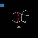 Epitheliom - Altmeyers Enzyklopädie - Fachbereich Dermatologie