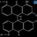 Sennae folium - Altmeyers Encyclopedia - Department Phytotherapy