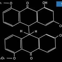 Sennae folium Bilder - Altmeyers Enzyklopädie - Fachbereich Phytotherapie