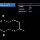 Fraxini cortex - Altmeyers Encyclopedia - Department Phytotherapy