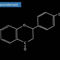 Liquiritiae radix Images - Altmeyers Encyclopedia - Department Phytotherapy