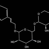 Rosavin Bilder - Altmeyers Enzyklopädie - Fachbereich Phytotherapie