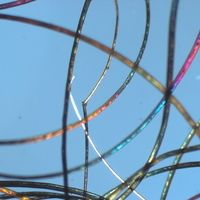 Trichorrhexis nodosa Images - Altmeyers Encyclopedia - Department ...