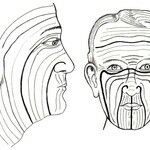 Skin tension lines - Altmeyers Encyclopedia - Department Dermatology