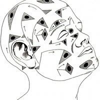 Skin tension lines Images - Altmeyers Encyclopedia - Department Dermatology