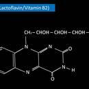 Nettle urticaria - Altmeyers Encyclopedia - Department Allergology