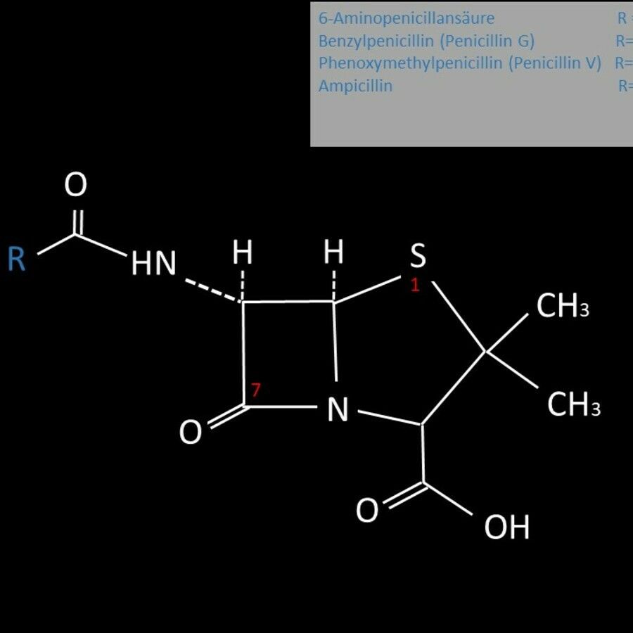 Penicillin Structure
