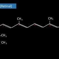 Vitamin a Images - Altmeyers Encyclopedia - Department Dermatology