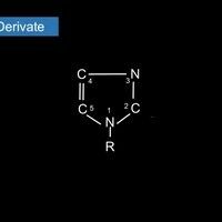 Imidazole antifungals Images - Altmeyers Encyclopedia - Department ...