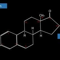 Estron Bilder - Altmeyers Enzyklopädie - Fachbereich Innere Medizin