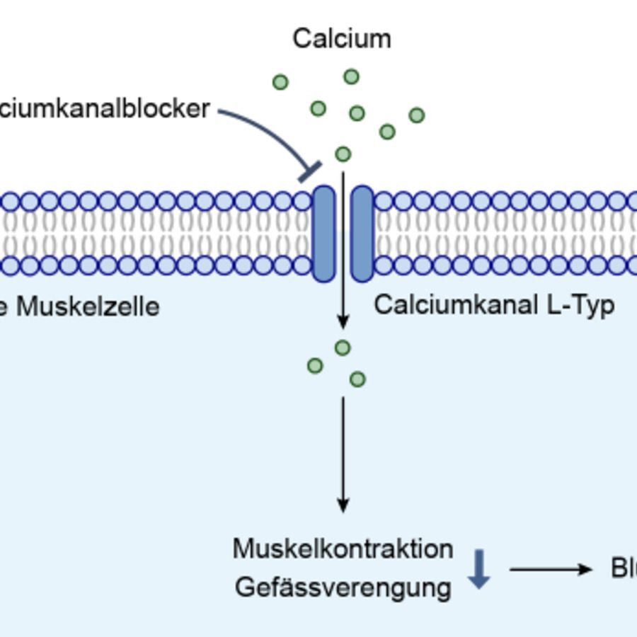 Calcium Ion Channel