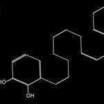 Rhus dermatitis - Altmeyers Encyclopedia - Department Allergology