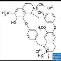 Curare Bilder - Altmeyers Enzyklopädie - Fachbereich Innere Medizin