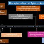 Cytostatics (overview) - Altmeyers Encyclopedia - Department Internal ...