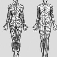 Mosaic cutaneous Images - Altmeyers Encyclopedia - Department Dermatology