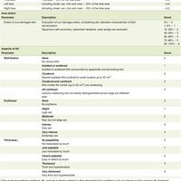 AKASi-Score Bilder - Altmeyers Enzyklopädie - Fachbereich Dermatologie