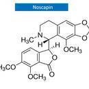 FLCN-Gen - Altmeyers Enzyklopädie - Fachbereich Dermatologie