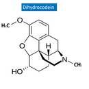 Bradbury-egglestone syndrome - Altmeyers Encyclopedia - Department ...
