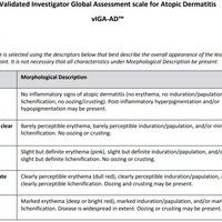 Validated Investigator Global Assessment scale for Atopic Dermatitis ...