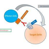 Mogamulizumab Images - Altmeyers Encyclopedia - Department Dermatology