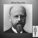 Ulcus molle, transitory - Altmeyers Encyclopedia - Department Dermatology