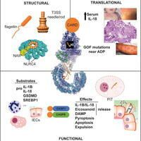 Familial cold autoinflammatory syndrome 4 Images - Altmeyers ...